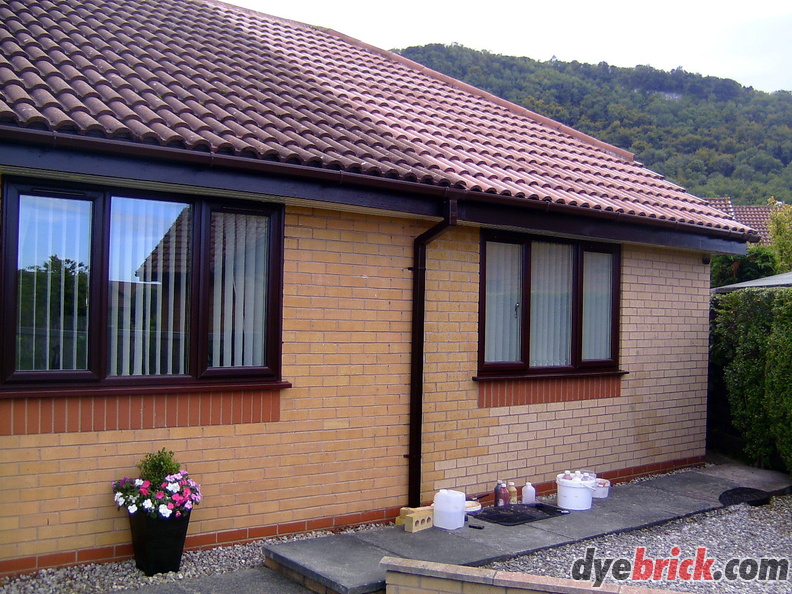 Brick Tint 003 | Dyebrick Gallery