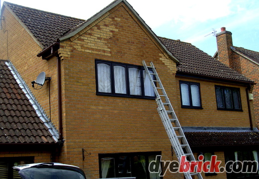 EXTENSIONS | Dyebrick Gallery