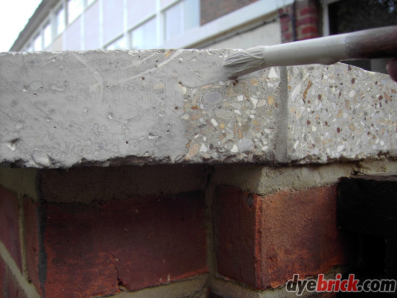 c-Coping 2 starting | Dyebrick Gallery