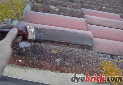 TILE TINTING | Dyebrick Gallery